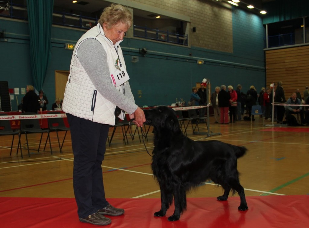 NEFRA’s 5th Championship Show 2012 – NEFRA