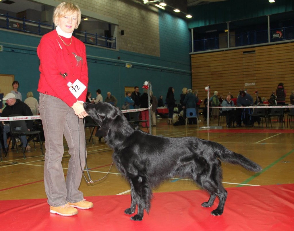 NEFRA’s 5th Championship Show 2012 – NEFRA