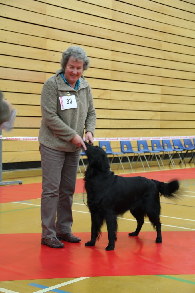 NEFRA’s 5th Championship Show 2012 – NEFRA