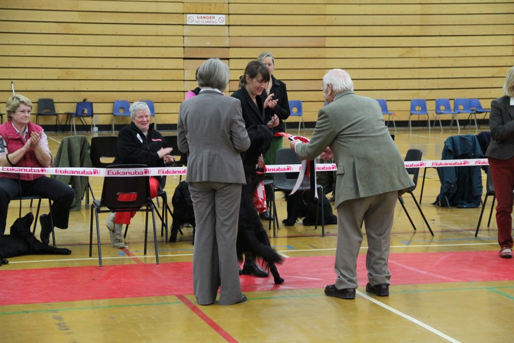 NEFRA’s 5th Championship Show 2012 – NEFRA