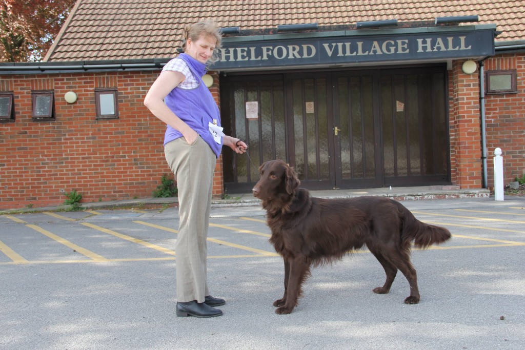 NEFRA Open Show 2012 – NEFRA