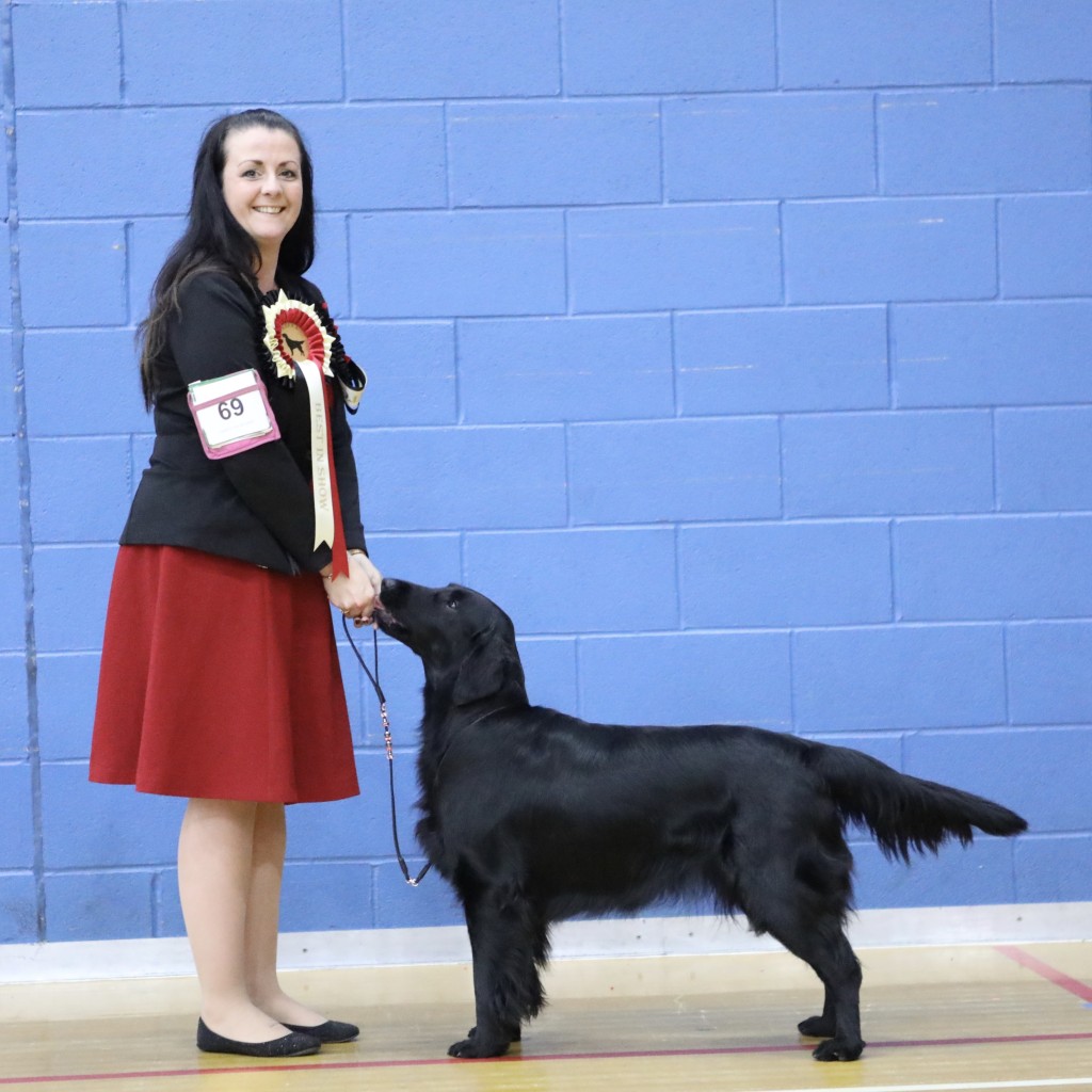 NEFRA Championship Show – 2017 – NEFRA